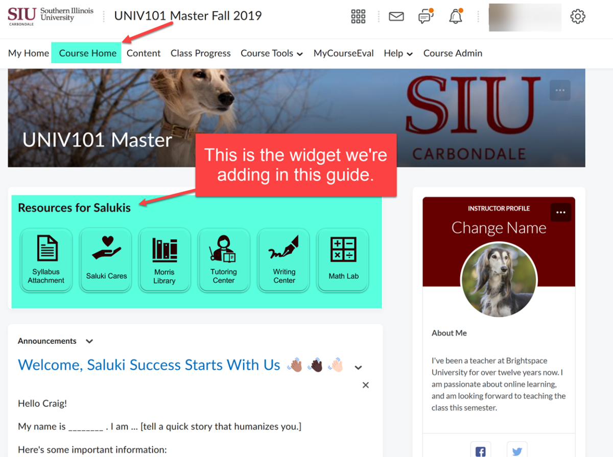 How to Add Resources for Salukis Widget to a D2L Course Homepage – OIT ...