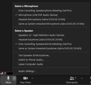 Using an Owl with Zoom – OIT Knowledge Base