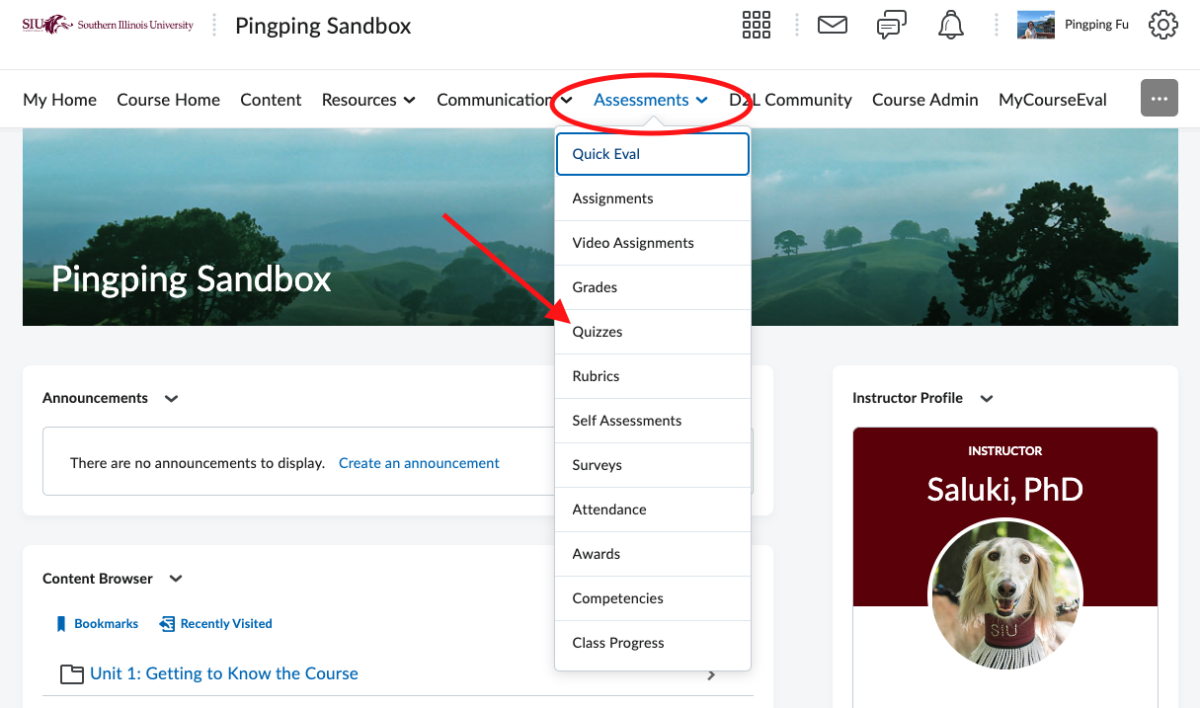 How to Display Quiz Feedback on D2L – OIT Knowledge Base